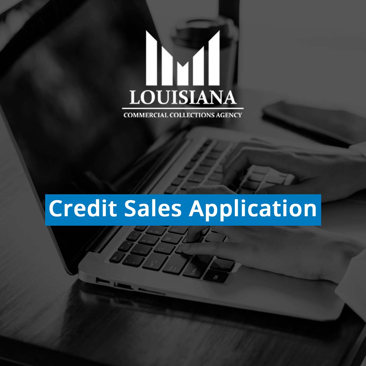 Manage Credit Risk With Online Credit Sales Applications